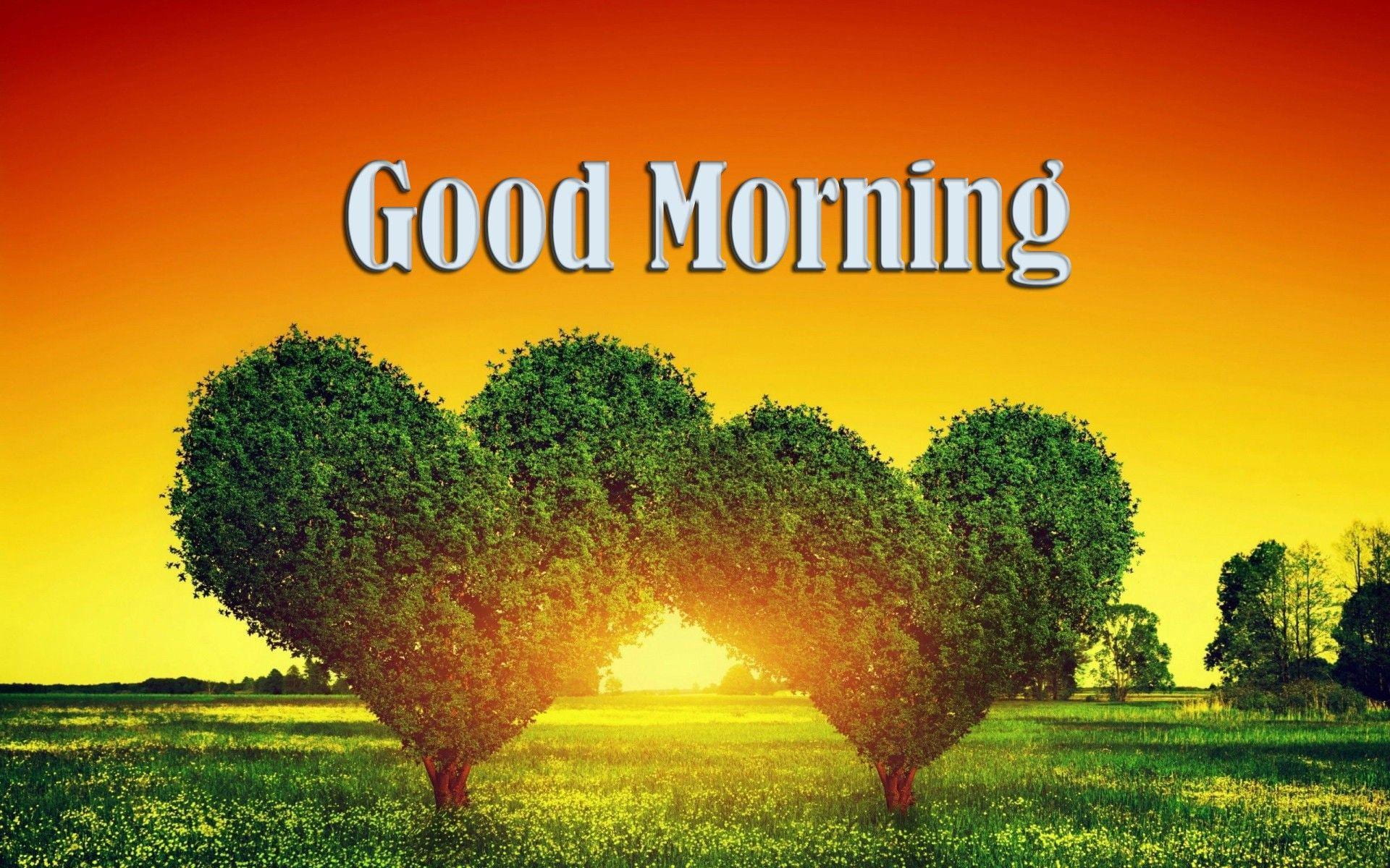 50+ Stylish Good Morning Wallpapers In HD Format - 2025