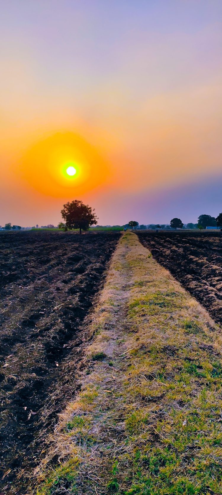 50+ Stylish Good Morning Wallpapers In HD Format - 2025