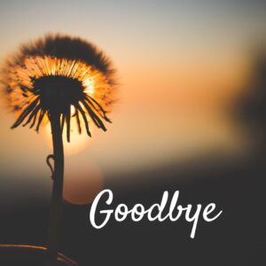 Best Goodbye Messages For Boyfriend - 2025