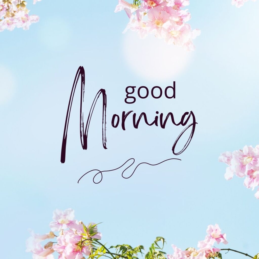 50+ The Most Beautiful Good Morning Images - 2025