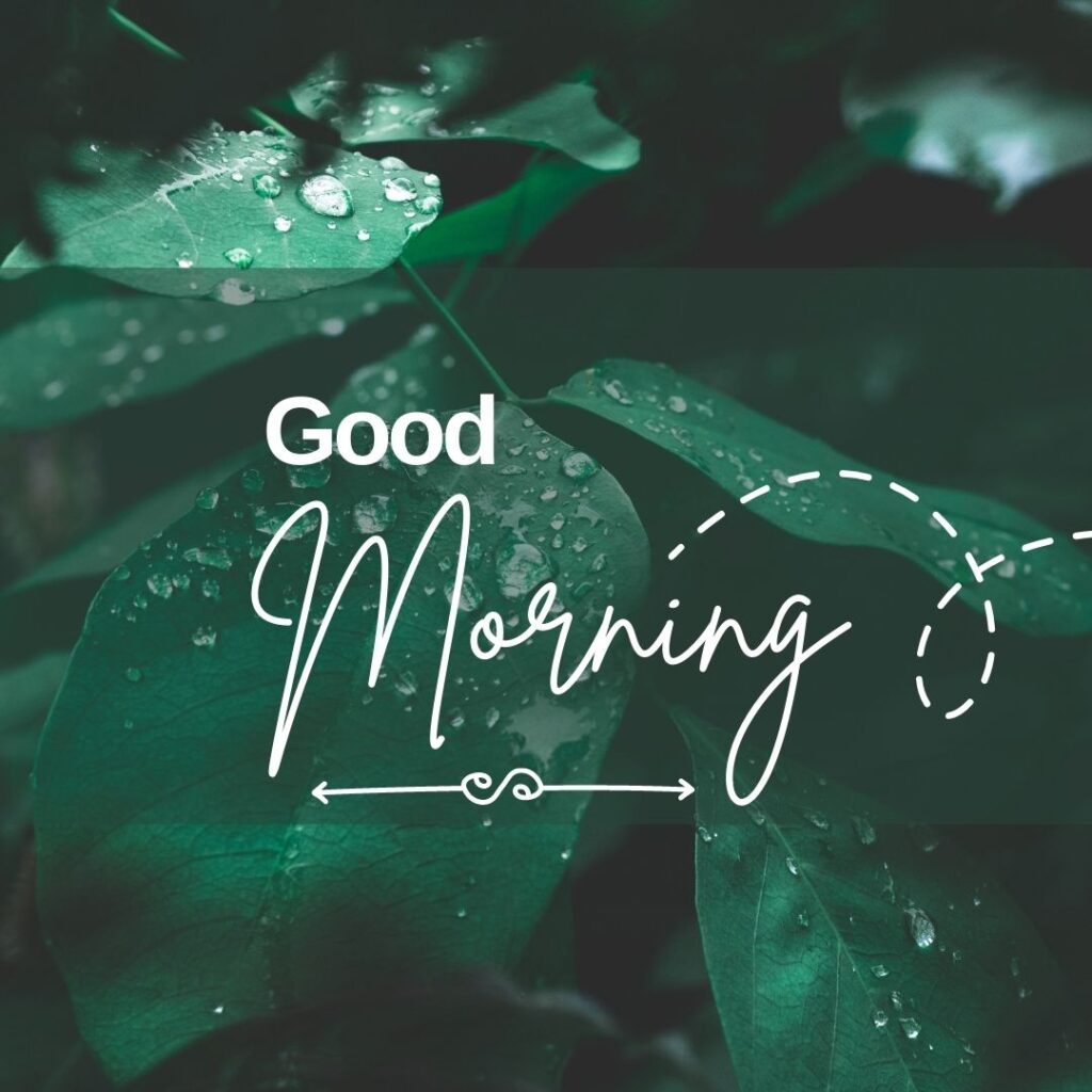 50+ The Most Beautiful Good Morning Images - 2026