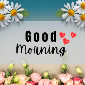 45+ Beautiful Good Morning Pics To Wish Everyone - 2024
