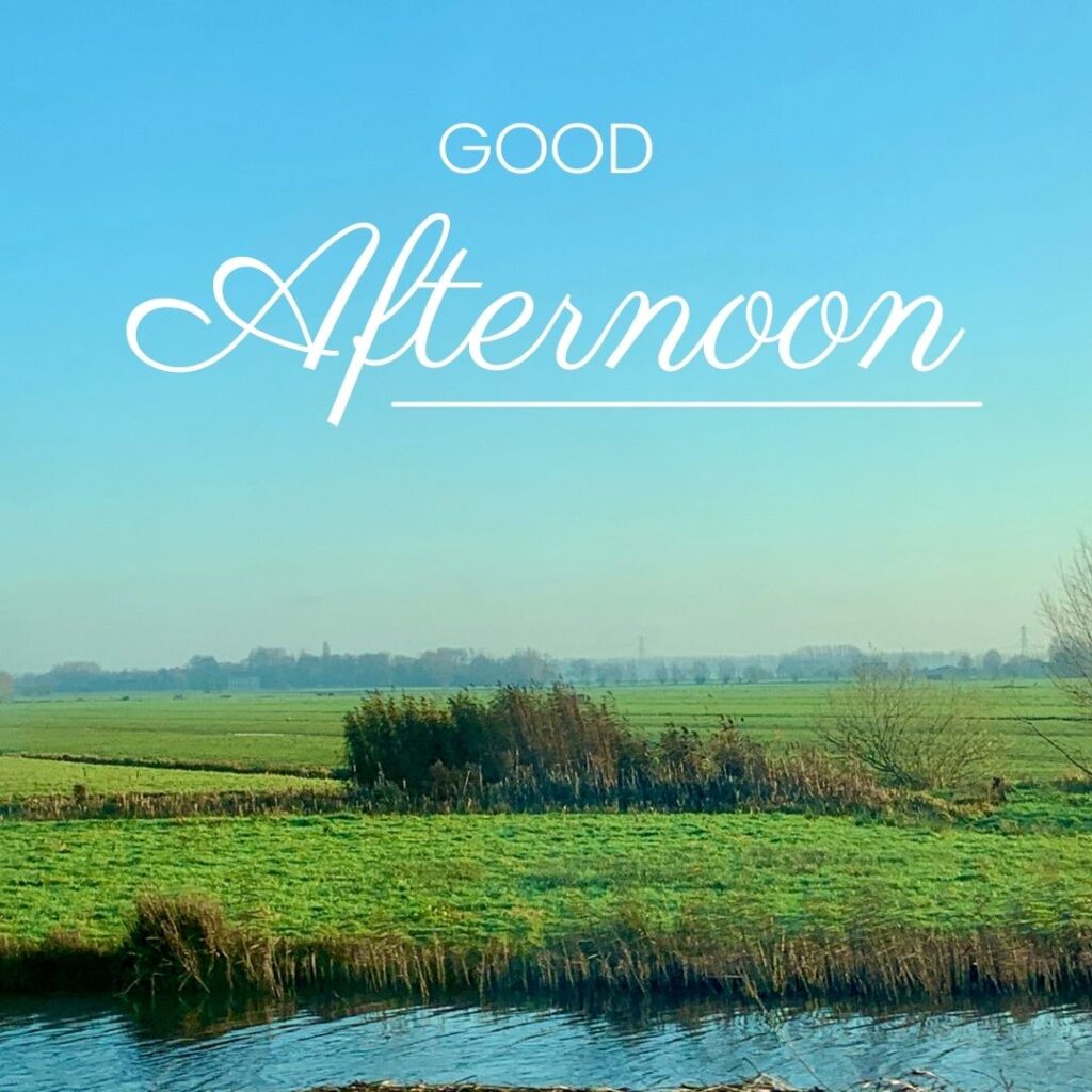 100+ Good Afternoon Wishes, Messages & Quotes - 2025