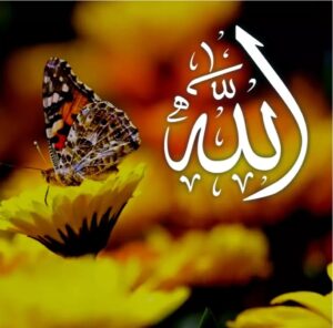 Most Beautiful Allah Name DP Images In HD Free Download - 2026