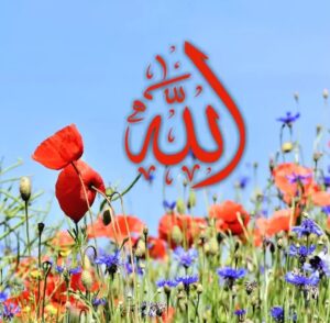 Most Beautiful Allah Name DP Images In HD Free Download - 2026