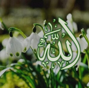 Most Beautiful Allah Name DP Images In HD Free Download - 2026