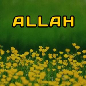 Most Beautiful Allah Name DP Images In HD Free Download - 2026