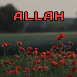 Most Beautiful Allah Name DP Images In HD Free Download - 2025