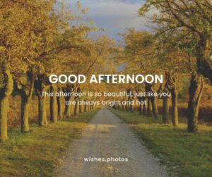 Best Good Afternoon Messages For Him To Brighten His Day - 2026