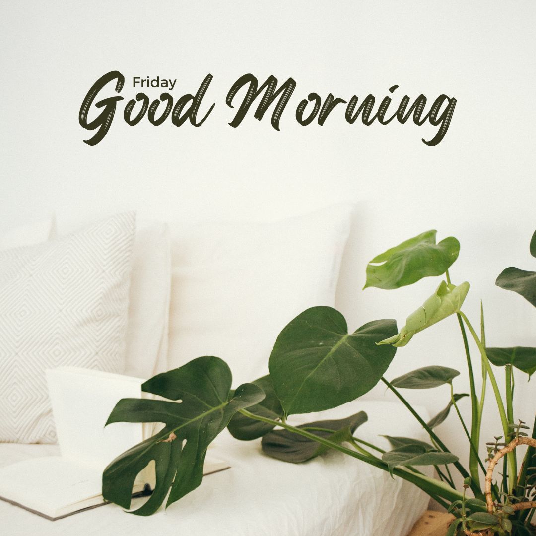 Best Good Morning Friday Images, GIFs, Wishes, Quotes, And Messages To ...