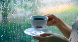 35 Perfect Good Morning Wishes For A Rainy Day - 2026