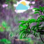 35 Perfect Good Morning Wishes For A Rainy Day - 2026