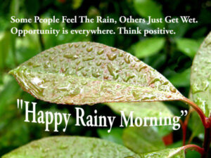 35 Perfect Good Morning Wishes For A Rainy Day - 2026
