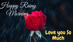 35 Perfect Good Morning Wishes For A Rainy Day - 2026