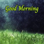 35 Perfect Good Morning Wishes For A Rainy Day - 2026