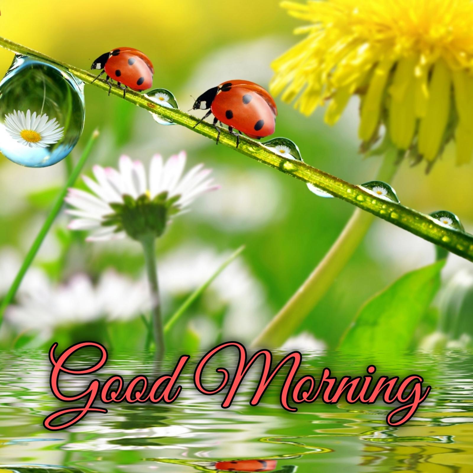 35 Perfect Good Morning Wishes For A Rainy Day - 2025
