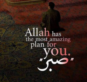 Allah Islamic Dp With Images Quotes For WhatsApp Status Download Free ...