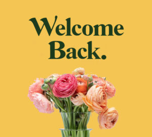 Heart Warming Welcome Back Messages, Quotes And Images - 2025