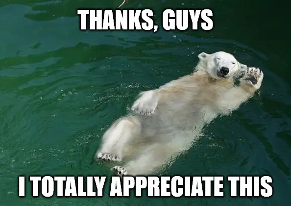 60 Thank You Memes To Share And Show Your Gratitude - 2025