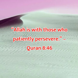 195+ Islamic Status, Captions And Quotes In English - 2025